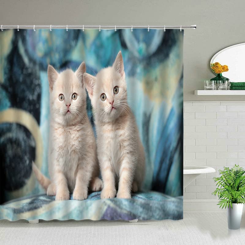 Waschbar Mit Katze