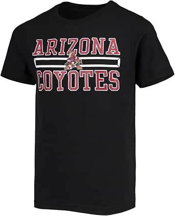 Amazon.com: Outerstuff Arizona Coyotes Juniors Boys 4-18 Iconic Hockey ...