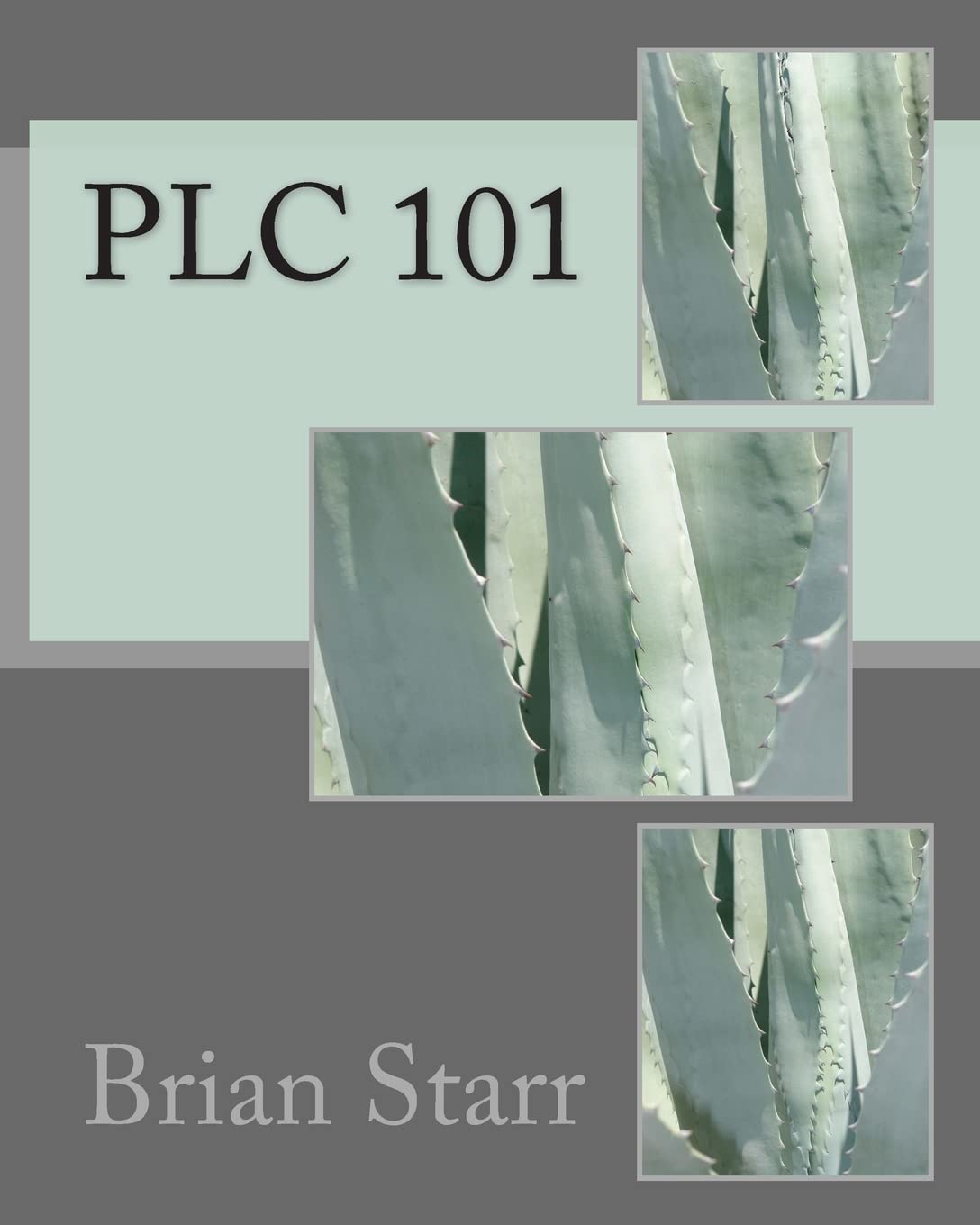 Plc 101 (Plc Training Manual): Starr, Mr. Brian Daniel: 9781494356873 ...