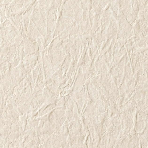 Amazon | 【長さ20mパック】 サンゲツ SP9729生のり付き壁紙/糊つき 量産クロス (旧SP2829 ） 石目調 [N-SP9729-20] SP 2023-2025 | 壁紙