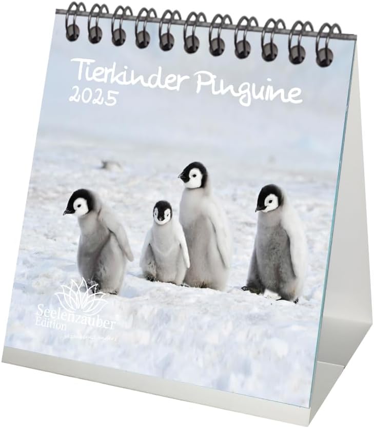 Penguins - 2025 Square Wall Calendar - by Red Robin Publishing : Amazon ...