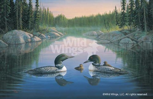 Wild Wings North Country Loons by Sam Timm Limited Edition Print of ...