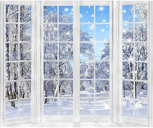 Amazon.com : Funnytree 6 x 6 FT Winter Window Backdrop Snowflakes Snowy ...