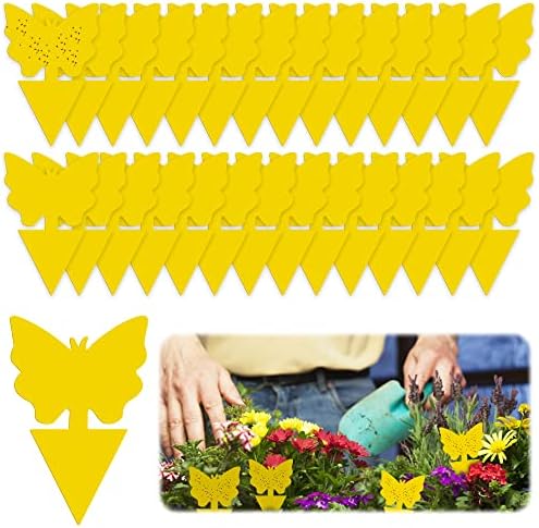 48 Pack Fruit Fly Traps, Double-sided Sticky Fungus Gnat Killer Yellow ...