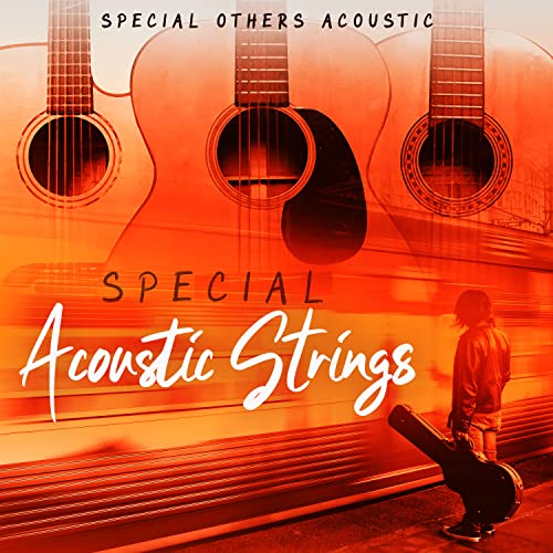 Special Acoustic StringsからSPECIAL OTHERS ACOUSTICによる楽曲Buzzing Satinを ...