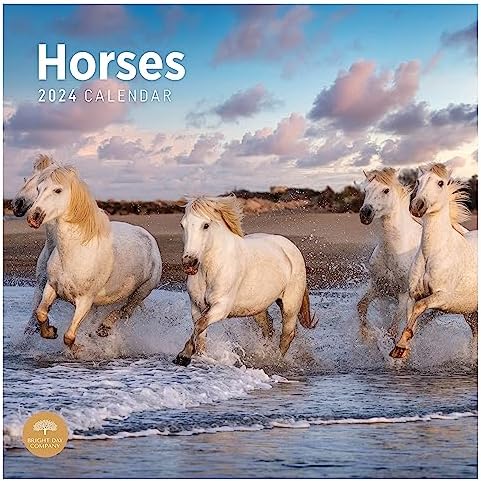 2024 Horses Monthly Wall Calendar by Bright Day, 12 x 12 Inch Cute ...