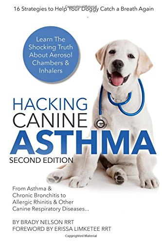 How Do You Help A Dog With Asthma