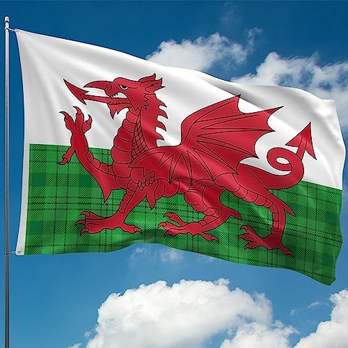 Welsh Flag Tartan - Wales Flag - Wales Dragon - Double-sided Digital ...