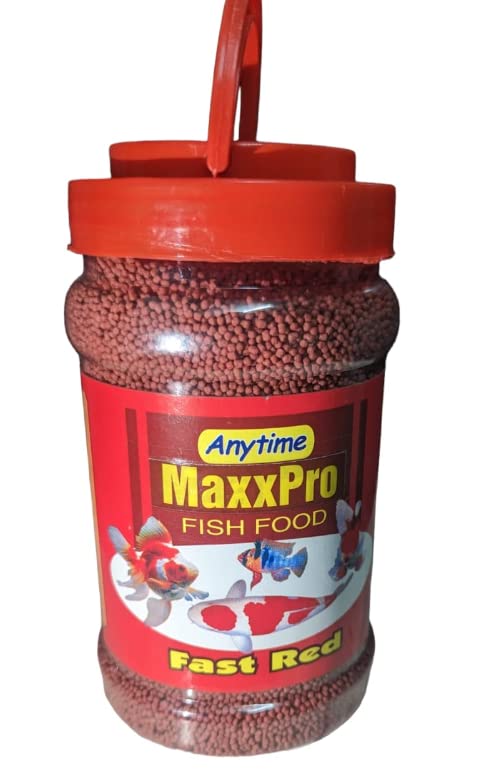 Anytime MaxxPro Fish Food Fast Red 330gm : Amazon.in: Pet Supplies