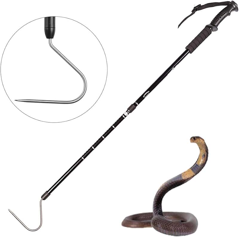 Amazon.co.uk | Carriers & Handling for Reptiles