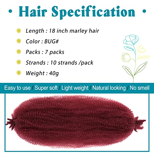 Snapklik.com : Burgundy Marley Hair, Marley Twist Braiding Hair