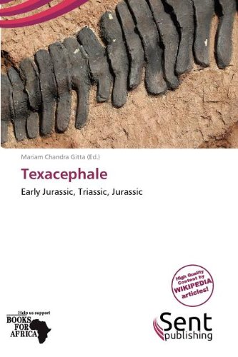 Amazon.co.jp: Texacephale : 本