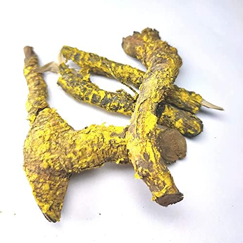 Buy Saptarangi Root-Saptarangi Mool-Saptrangi Jadd-Saptaranj-Salacia ...