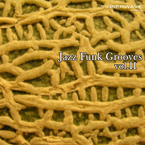 Amazon.com: Jazz Funk Grooves, Vol. 2 : VARIOUS ARTISTS: Digital Music