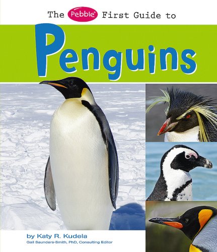 The Pebble First Guide to Penguins (Pebble First Guides): Kudela, Katy ...