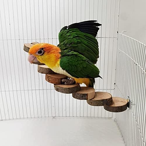 Amazon.com : Bird Platform Perch Playground for Budgie Parakeet, Cage ...