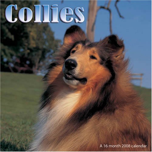 Collies 2008 Wall Calendar: Magnum Publications: 9781602540569: Amazon ...