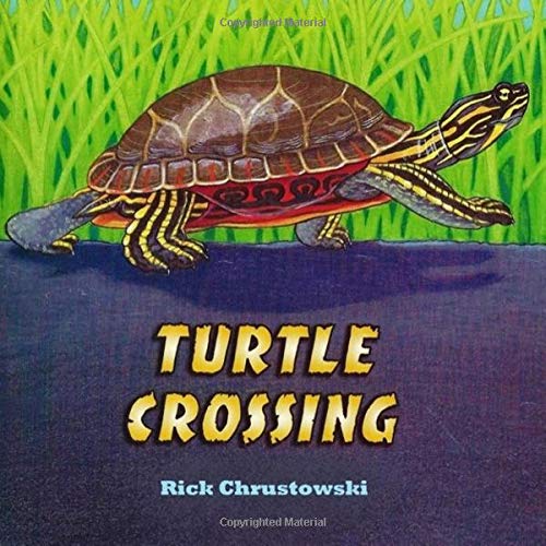 Turtle Crossing: Chrustowski, Rick: 9780991154449: Amazon.com: Books