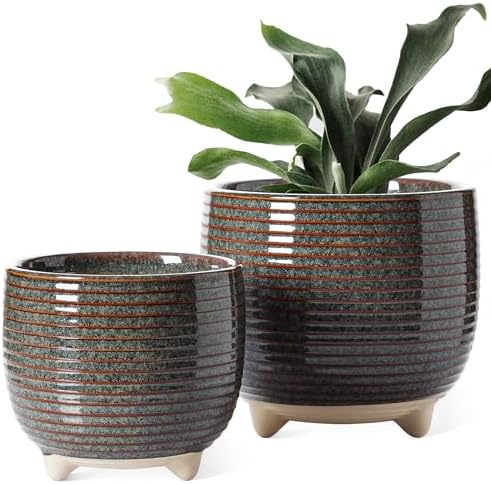 LE TAUCI Ceramic Plant Pots, 12 + 16 cm Footed Pots for Plants, Cute ...