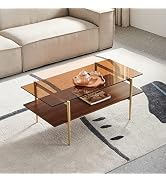 Amazon.com: AGV LIGHTING 202206 Tadio Glass Coffee Table, Double Layer ...