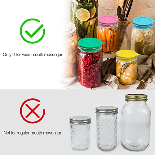 Snapklik.com : Sophico Silicone Fermenting Lids, Waterless Airlock ...