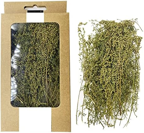 Amazon.com: Cayway Miniature Shrubs Model Bushes Long Shrub Vegetation ...