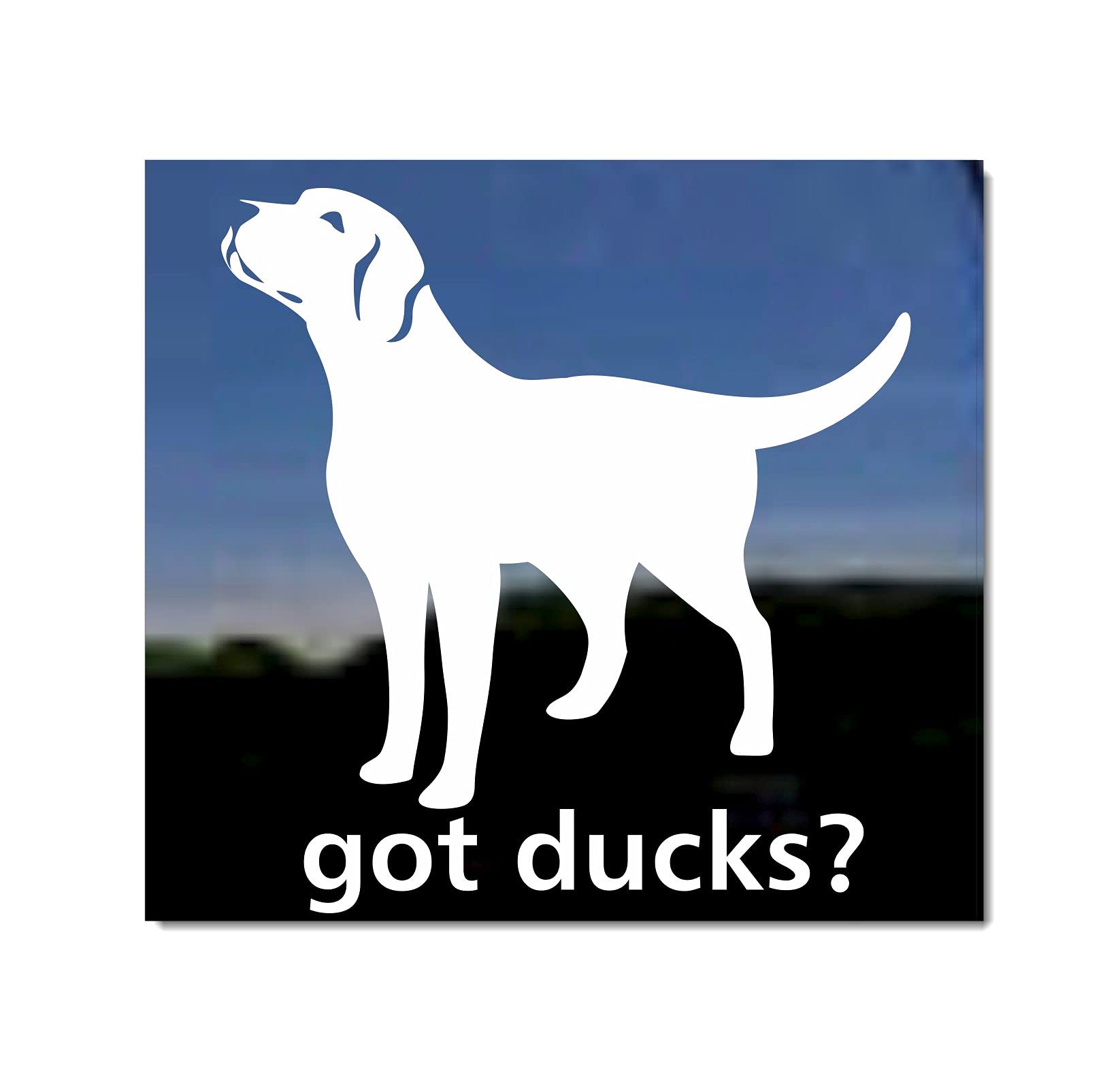 Amazon.com: Got Ducks? | NickerStickers® Vinyl Labrador Retriever Dog ...
