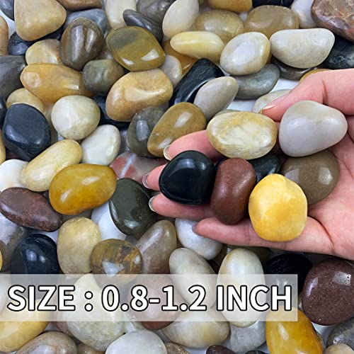 Snapklik.com : 10 Lb Natural Decorative Small Pebbles For Plants ...