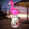 Amazon.com: Sonwyoung Inflatable Outdoor Decoration Pre-Lit LED Lights ...