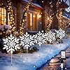 Amazon.com : Brightown Snowflake Lights Outdoor, 10 Large Snowflake ...