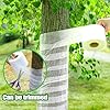 Amazon.com : KQYSLXG 2 Rolls Tree Protector Wraps, 2 Rolls Non Woven ...