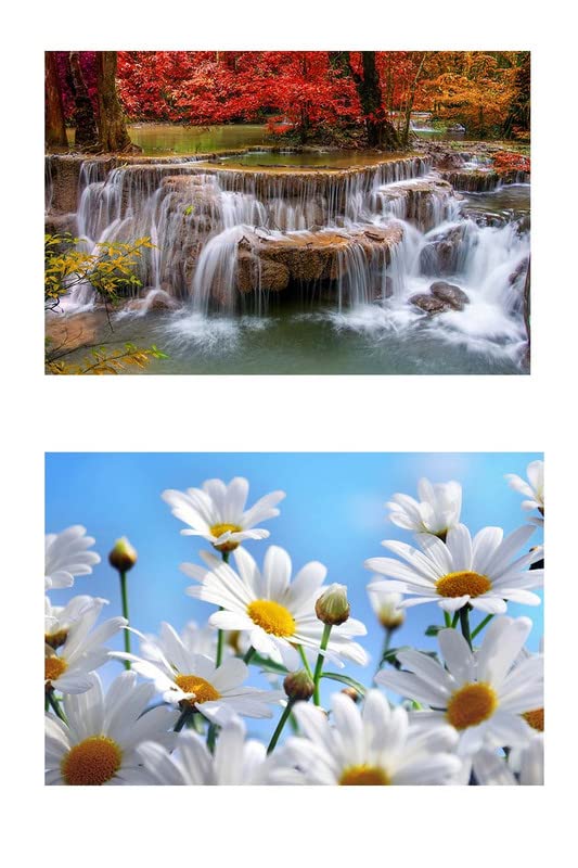 Go Green Tale Nature Poster Combo|Scenery Poster For Wall Decoration ...