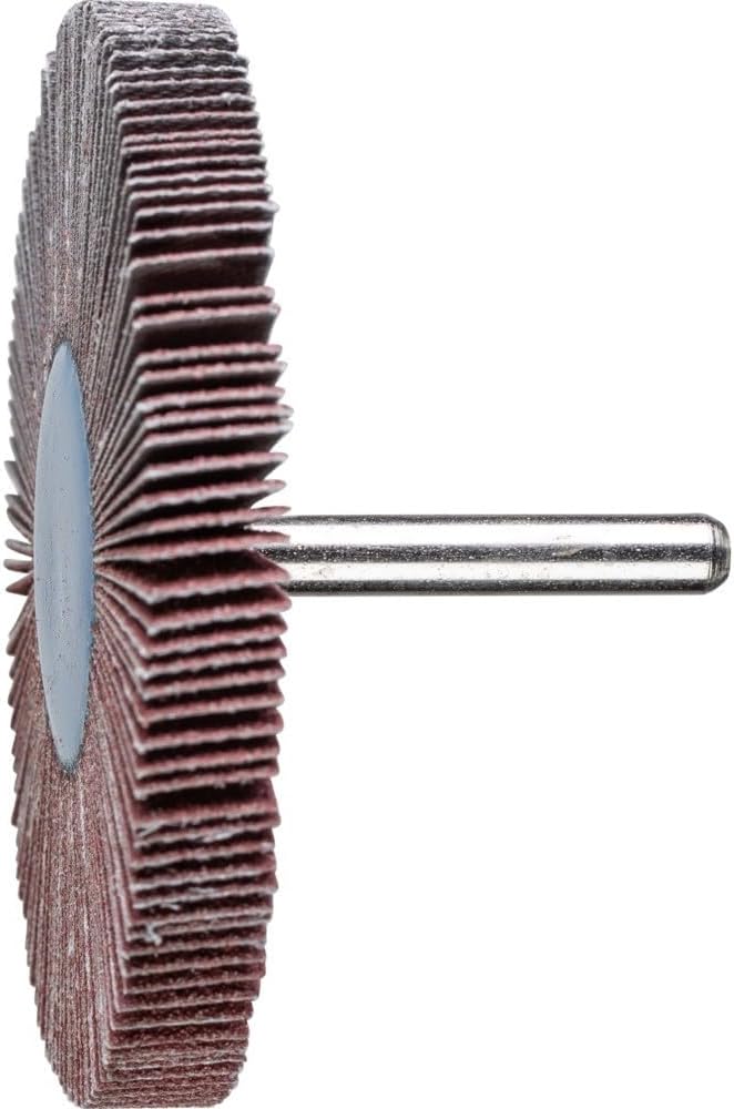 Amazon.com: Pferd 47801110 8010/6 Fan Grinder Grit Size 80, 1 V ...