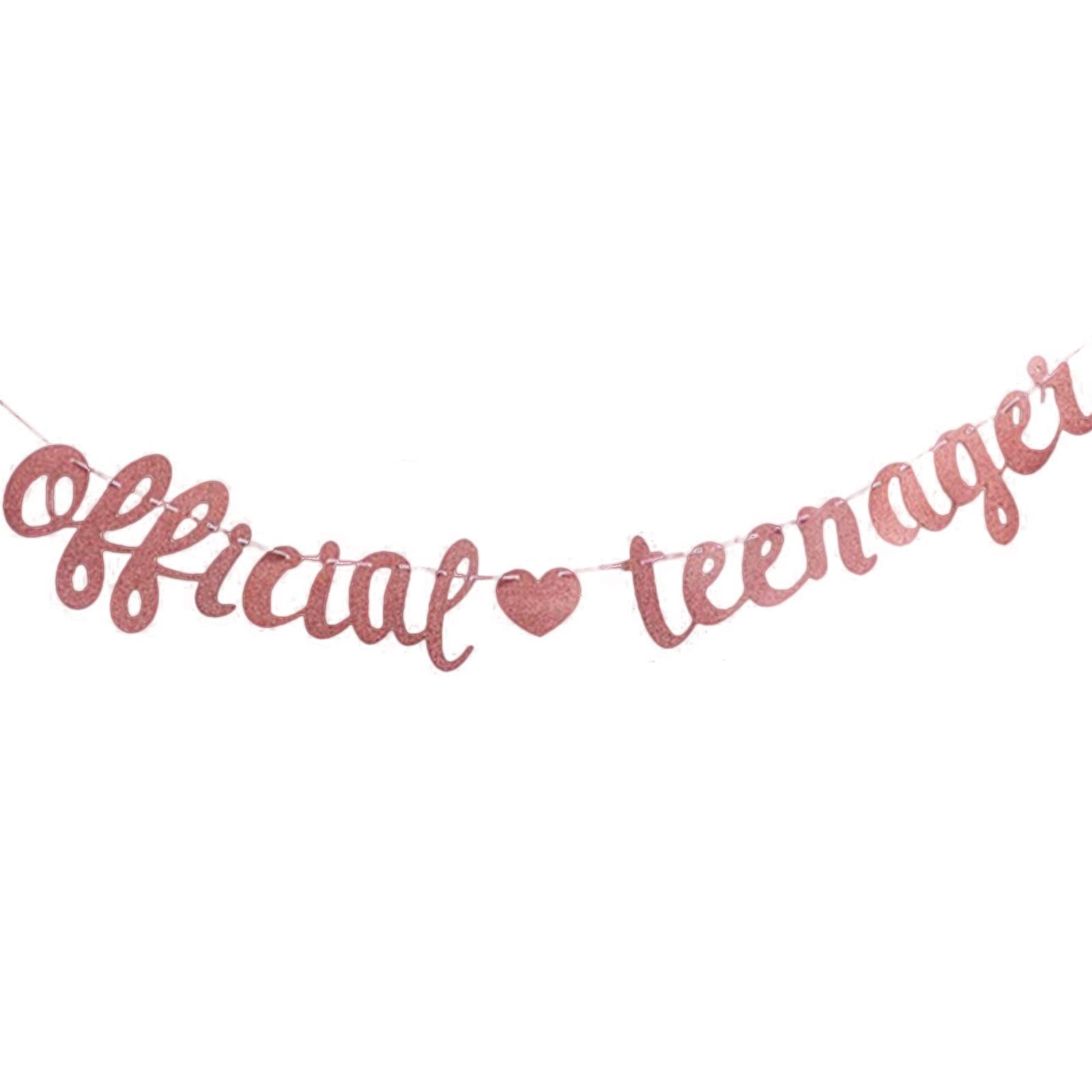 Buy 13th Birthday Decorations Girls,Official Teenager Banner For Girls ...