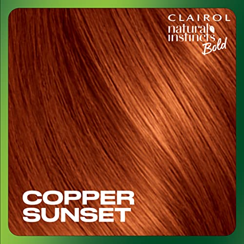 Clairol Natural Instincts Bold Permanent Hair Dye, C64 Copper Sunset ...