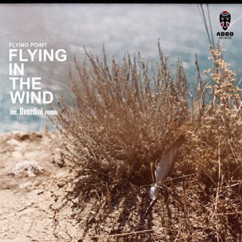 Écouter Flying in the Wind par Flying Point sur Amazon Music Unlimited