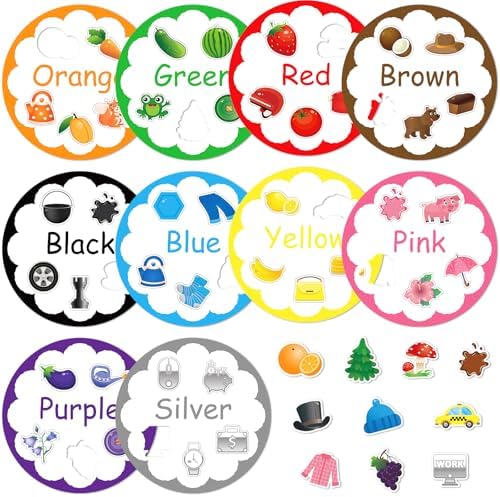 Amazon.com: 10 Packs Shape & Color Recognition Magnetic Sorting Set for ...