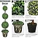 Amazon.com - Goplus 4 Ft 2 Pack Artificial Boxwood Topiary Tree, Fake ...