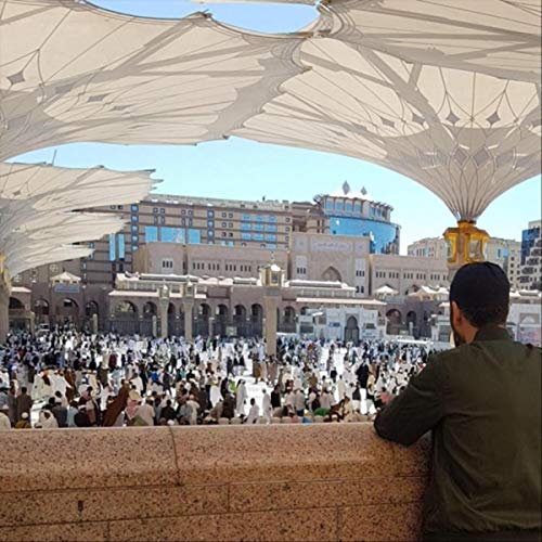 King or Bedouin (Vocals Only) de Bugsy en Amazon Music Unlimited