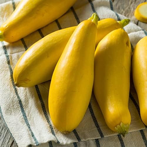 Amazon.com : Burpee Saffron Summer Squash Seeds 100 seeds : Patio, Lawn ...