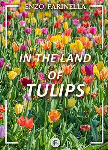 In the Land of Tulips: Irish Pilgrims in Benelux and Europe (Collana ...