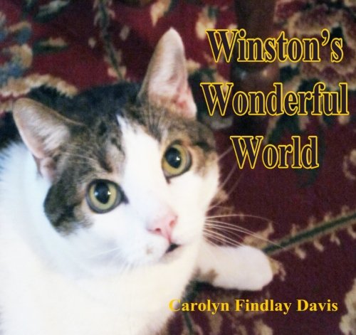 Winston's Wonderful World: Davis, Carolyn Findlay: 9781548377151 ...