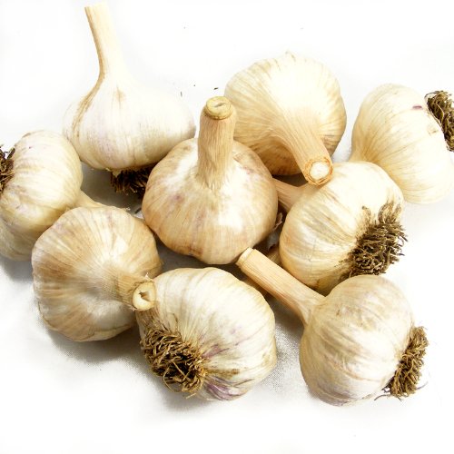 Amazon.com : German Red Heirloom Garlic (1 Pound) Organic Gourmet ...