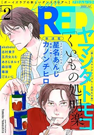 Amazon.co.jp: from RED vol.2 [雑誌] eBook : akabeko, 五月女えむ, 汀えいじ, 星名あんじ, ヤマシタトモコ, カノンチヒロ, 志村貴子, あさ ...