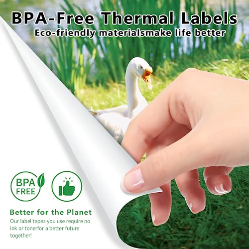 Snapklik.com : Thermal Printer Paper 8.5 X 11 Inch - Betife Continuous ...