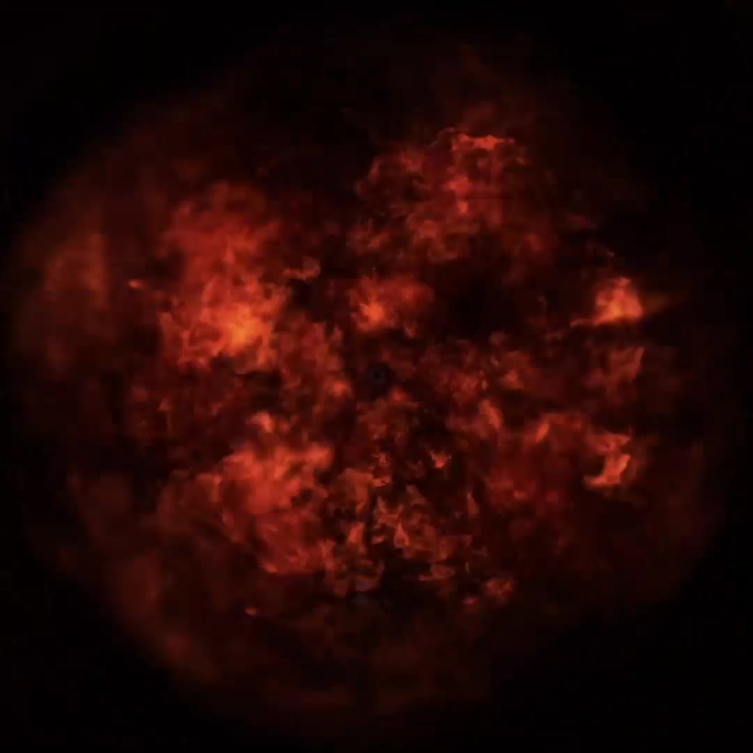 Watch F1 Fragrance Formula 1 on Amazon Live