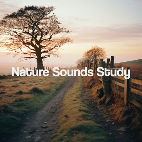 Nature Sounds Study de Nature Sounds Nature Music & Nature Sounds en ...