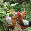 Amazon.com : 10pcs Chicken Saddle for Hens, Chicken Aprons for Hens ...