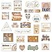 Amazon.com: Ctosree 48 Pieces Boho Classroom Bulletin Board Sets Teach ...