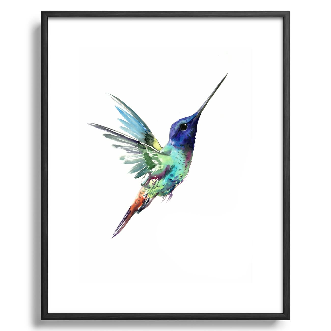 Hummingbird Flying Drawing